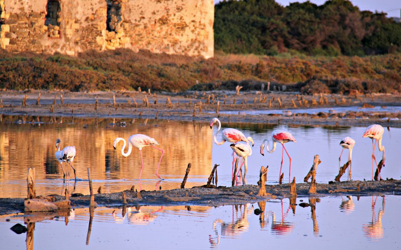 Things to do & Places to visit in Sardinia - Italia.it