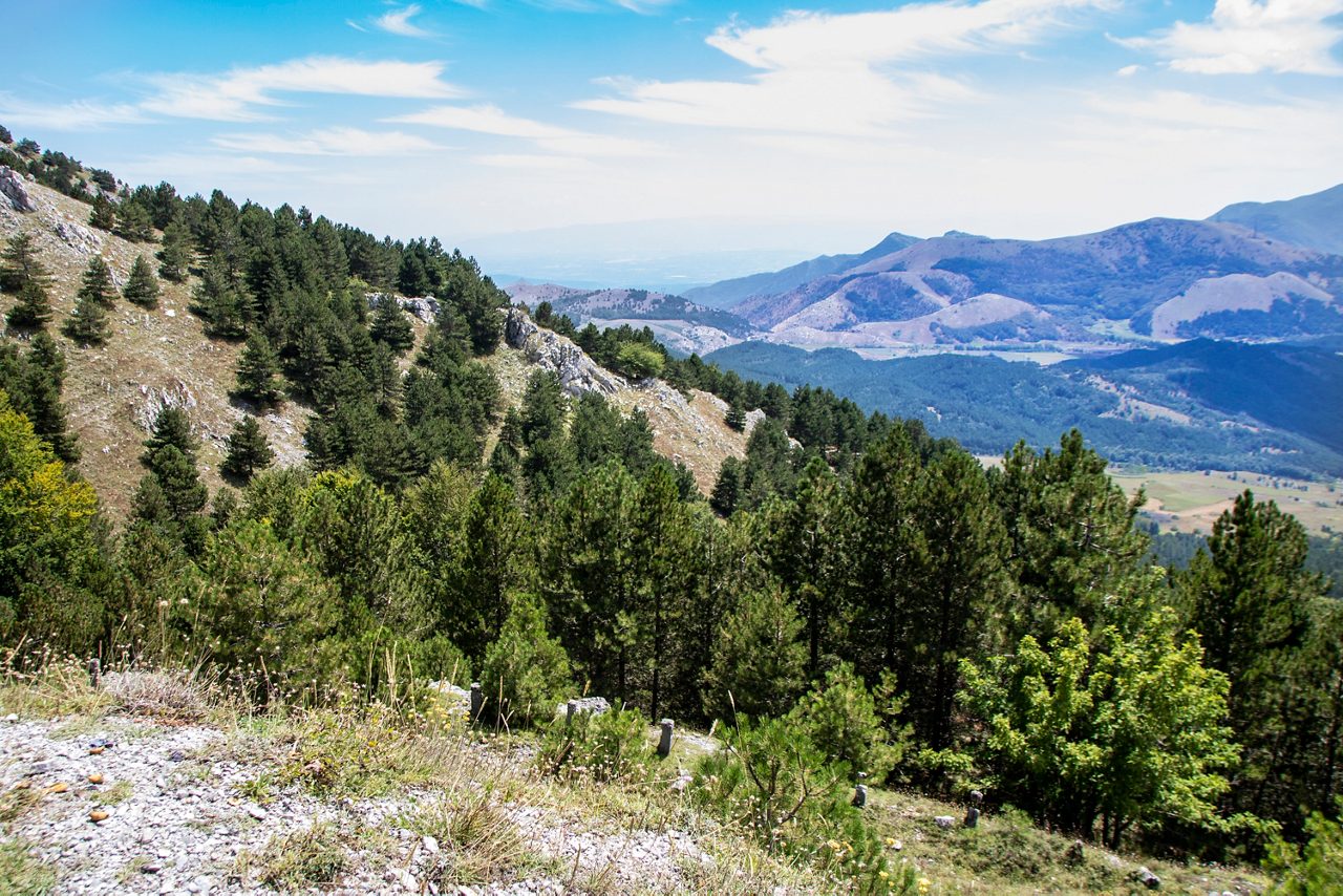 Calabria: Cities & Attractions to see - Italia.it