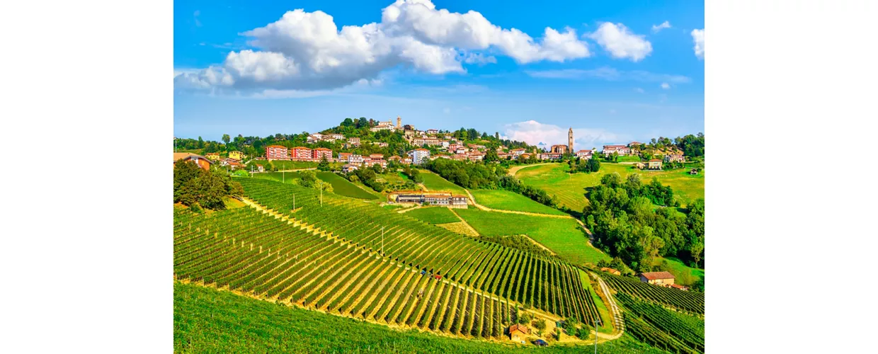 Monforte d'Alba, village in Piedmont, Italy - Italia.it