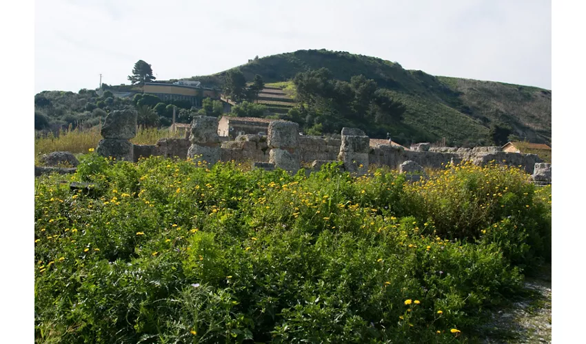 Area archeologica di Imera, Termini Imerese - Italia.it
