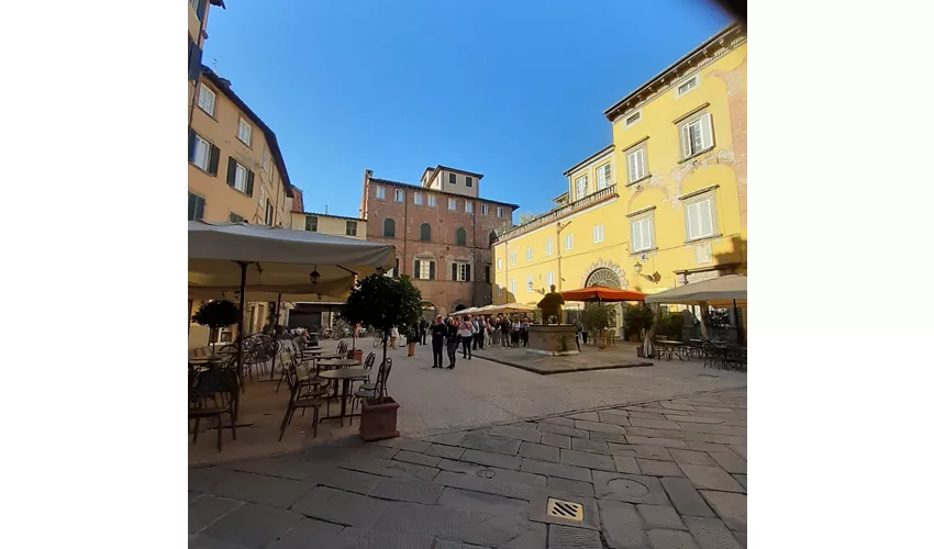 Puccini Museum - Casa Natale di Giacomo Puccini, Lucca - Italia.it