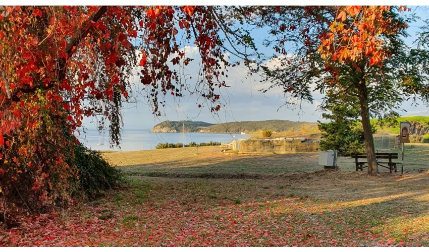 Parco Archeologico di Baratti e Populonia, Piombino - Italia.it