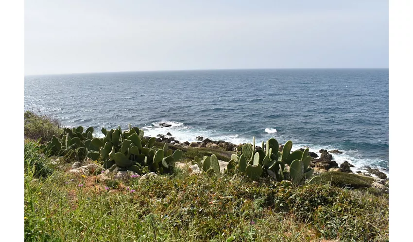 Leuchtturm von Capo Rizzuto, Isola di Capo Rizzuto - Italia.it