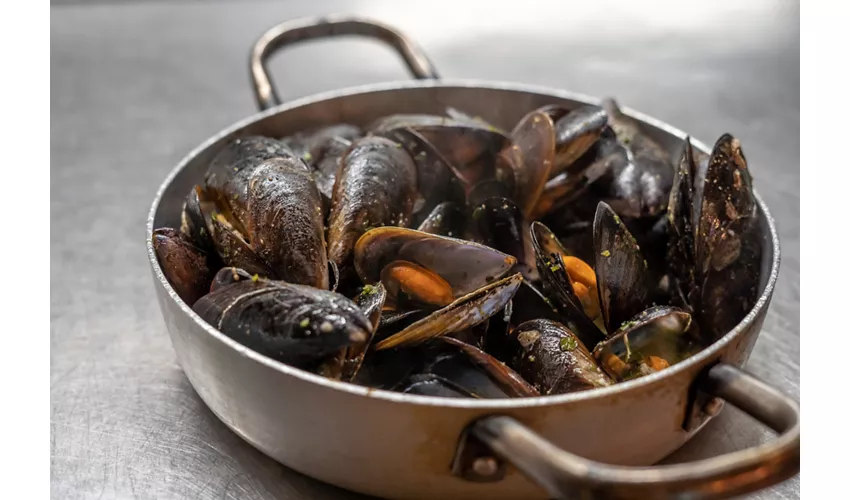 Il Pescatore, Laigueglia - Italia.it