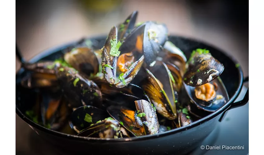 Tsade il senso del mangiare, Civitavecchia - Italia.it