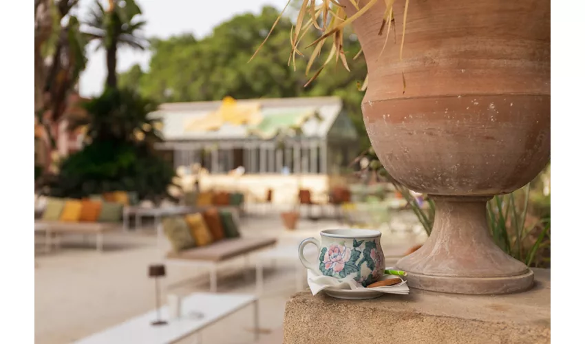 Talea, Palermo - Italia.it