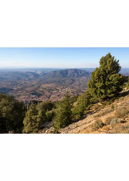 Come si festeggia la Pasqua in Italia - Italia.it