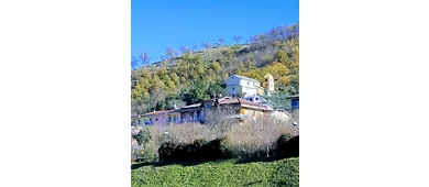 Baronissi - Italia.it